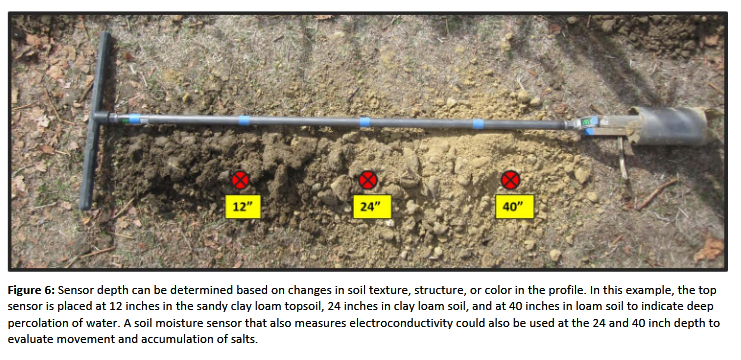 Using Soil Moisture Sensors for Vineyard Irrigation Management